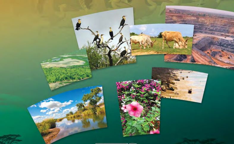 Le Sénégal et sa diversité biologique :: Chezlala