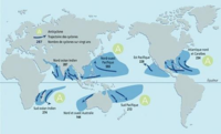 Formation et évolution d'un cyclone :: Peut-on-prevoir-les-cyclones