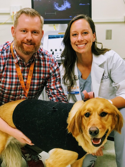 About me :: Heartlandveterinarycardiology-com