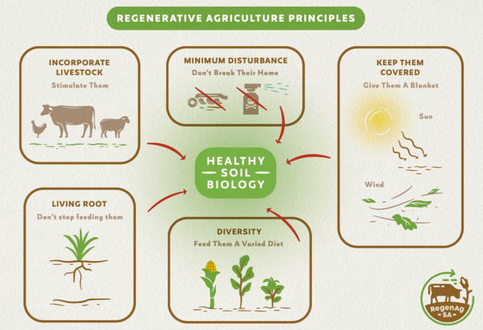 Regenerative Ag Principles of Soil Health