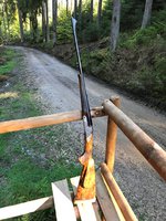 Double rifles & Safari rifles for the professional hunt