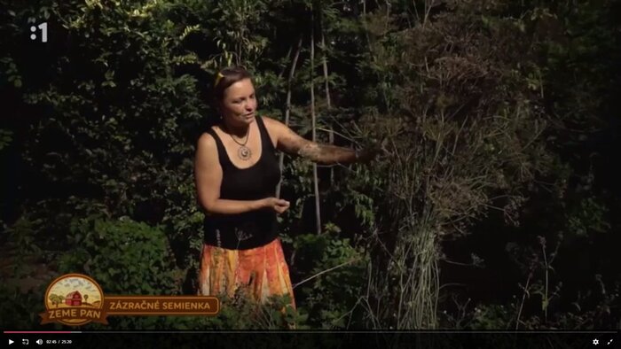 STV relácia Zemepán - zázračné semienka :: Škola prírodných záhrad