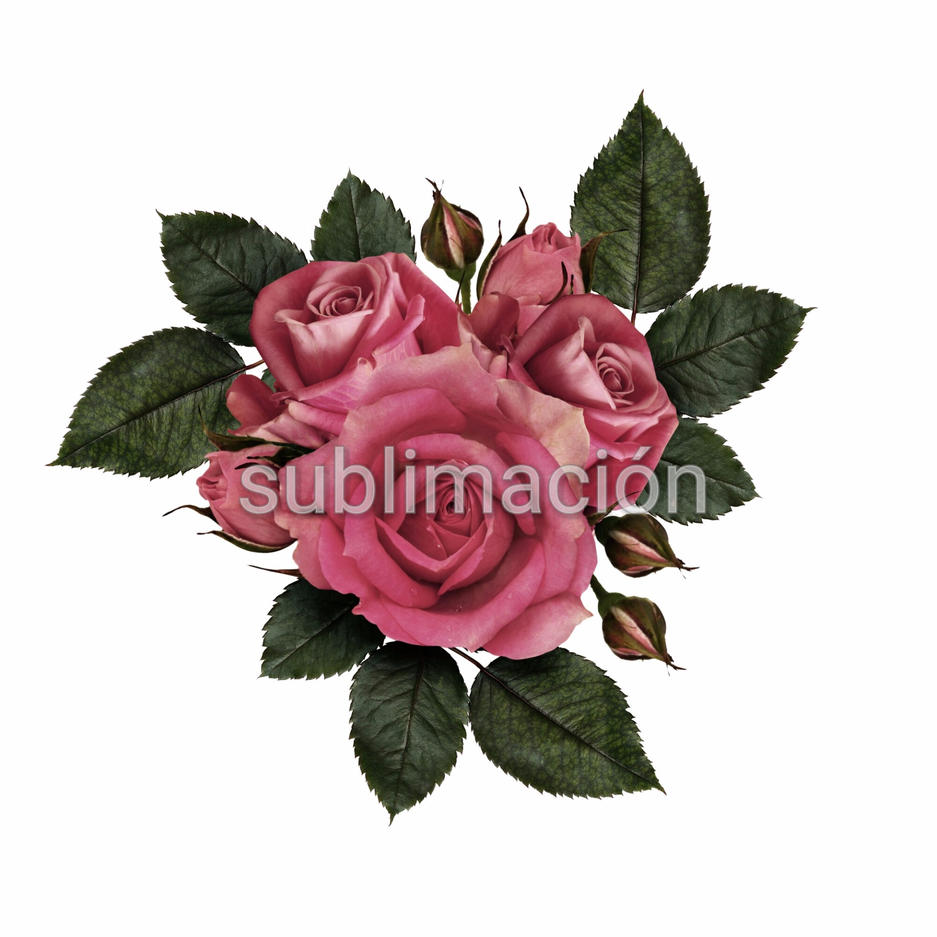 flores :: Laminas-de-sublimacion3