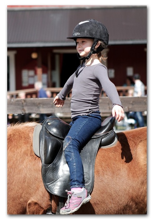 Runderidning :: Losby-ridesenter