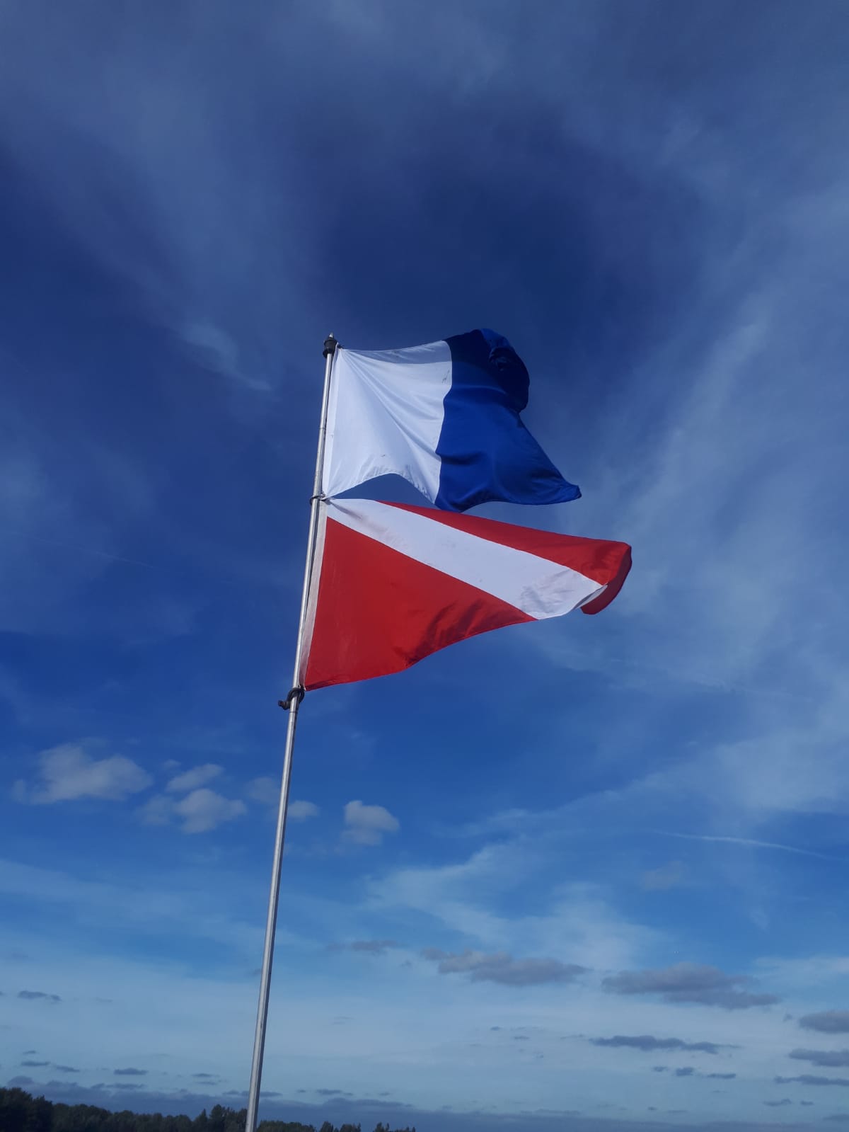 forensicdiving&researchacademy