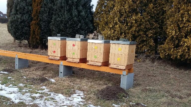 Včelí jed :: Oficiální web VSK a okolí z.s.