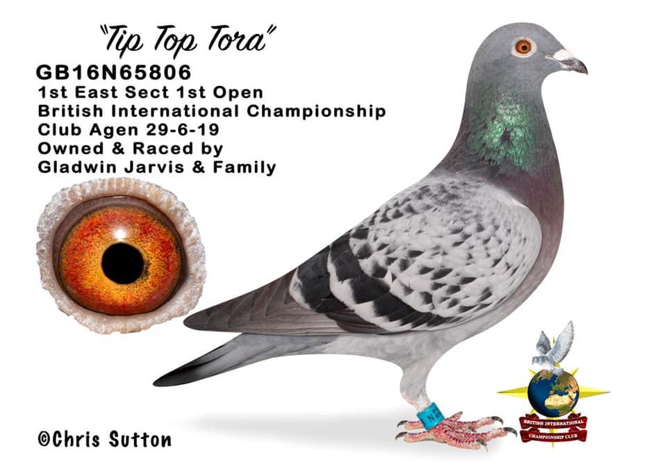 2020 National Messac Auction :: Thames North & Eastern Counties Flying Club