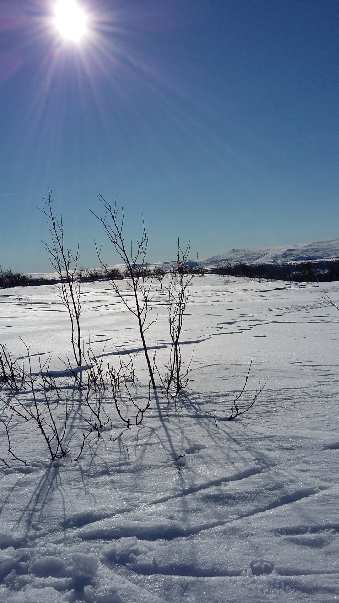 Eila o Stig i Messlingen