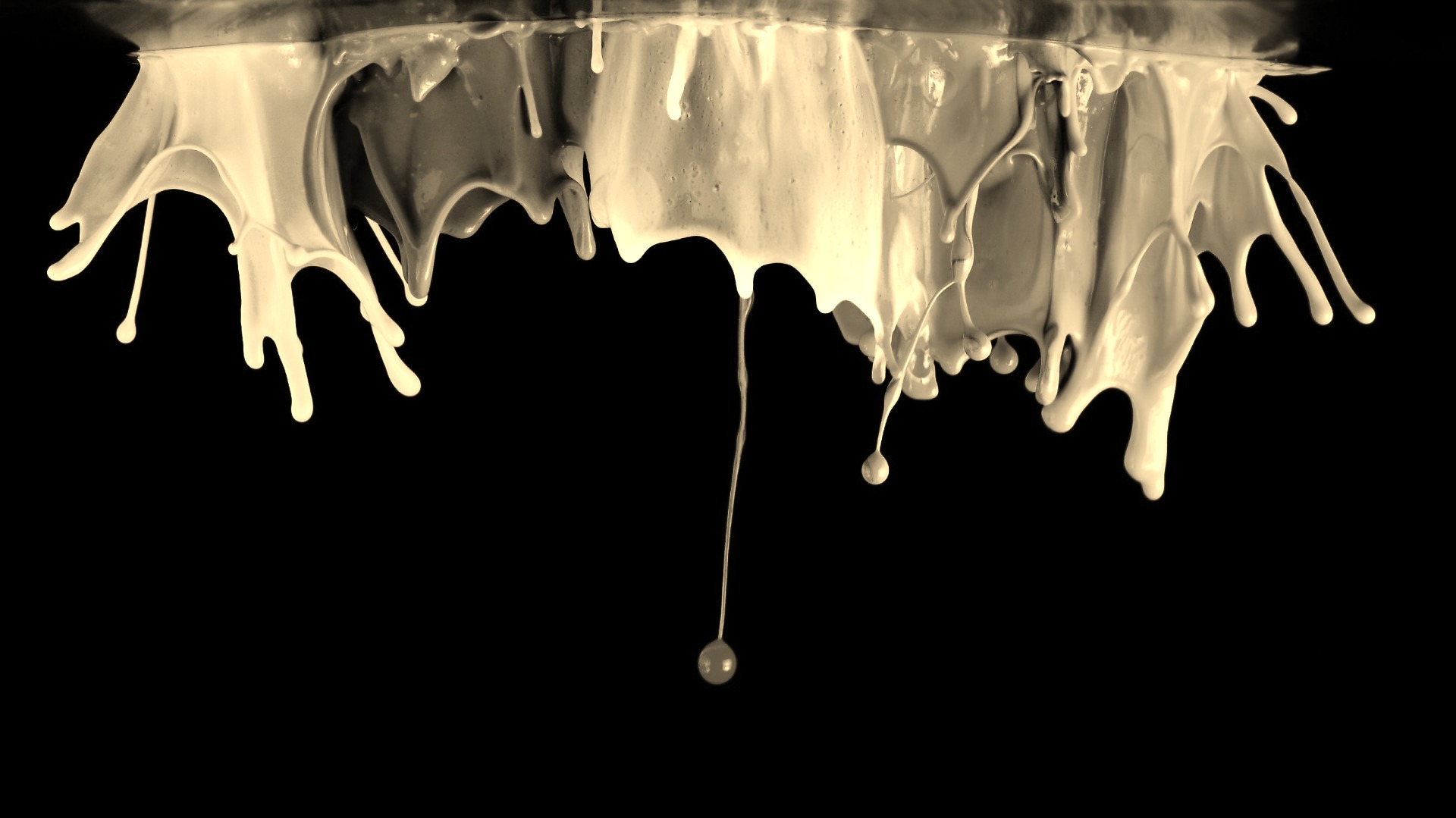 PALETA 1-50 :: Paletabarev