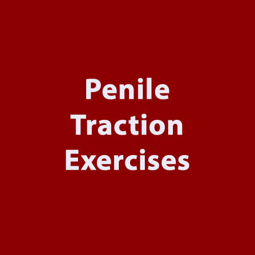 Penis Traction Exercises :: Phalogenic-exercises