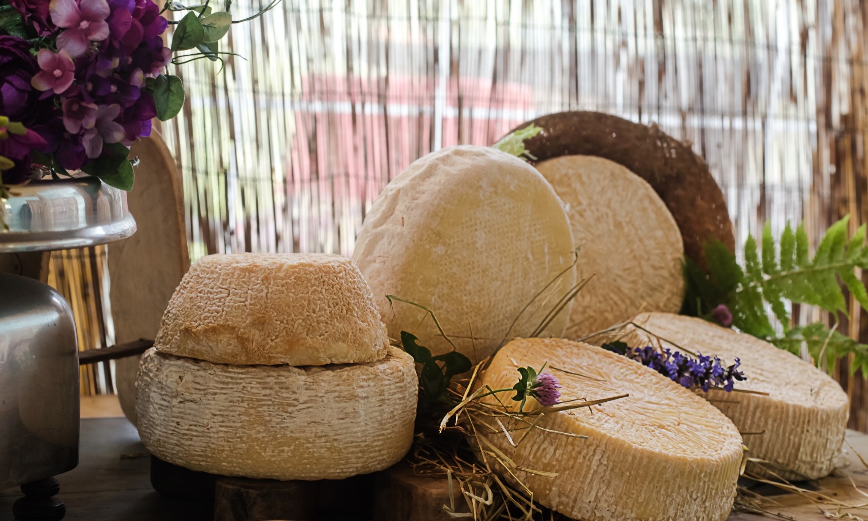 Formaggi, yogurt capra, mucca Dolce Fiorita, Rapallo Liguria