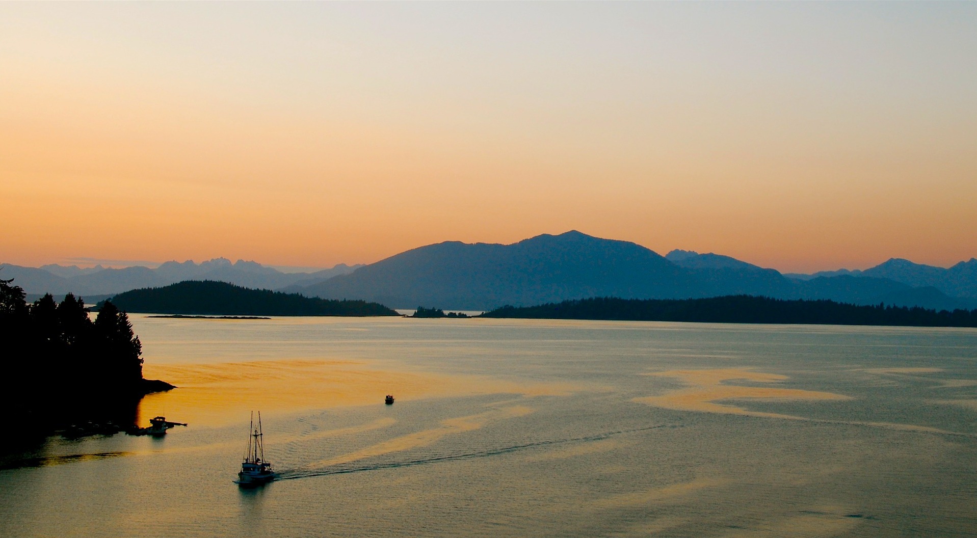 Evolutionary Morphology