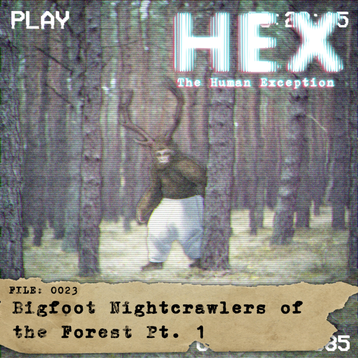 File 0023-0024: Bigfoot Nightcrawlers of the Forest :: The Human Exception