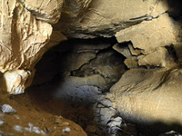 Ted the Caver Revealed :: The Human Exception