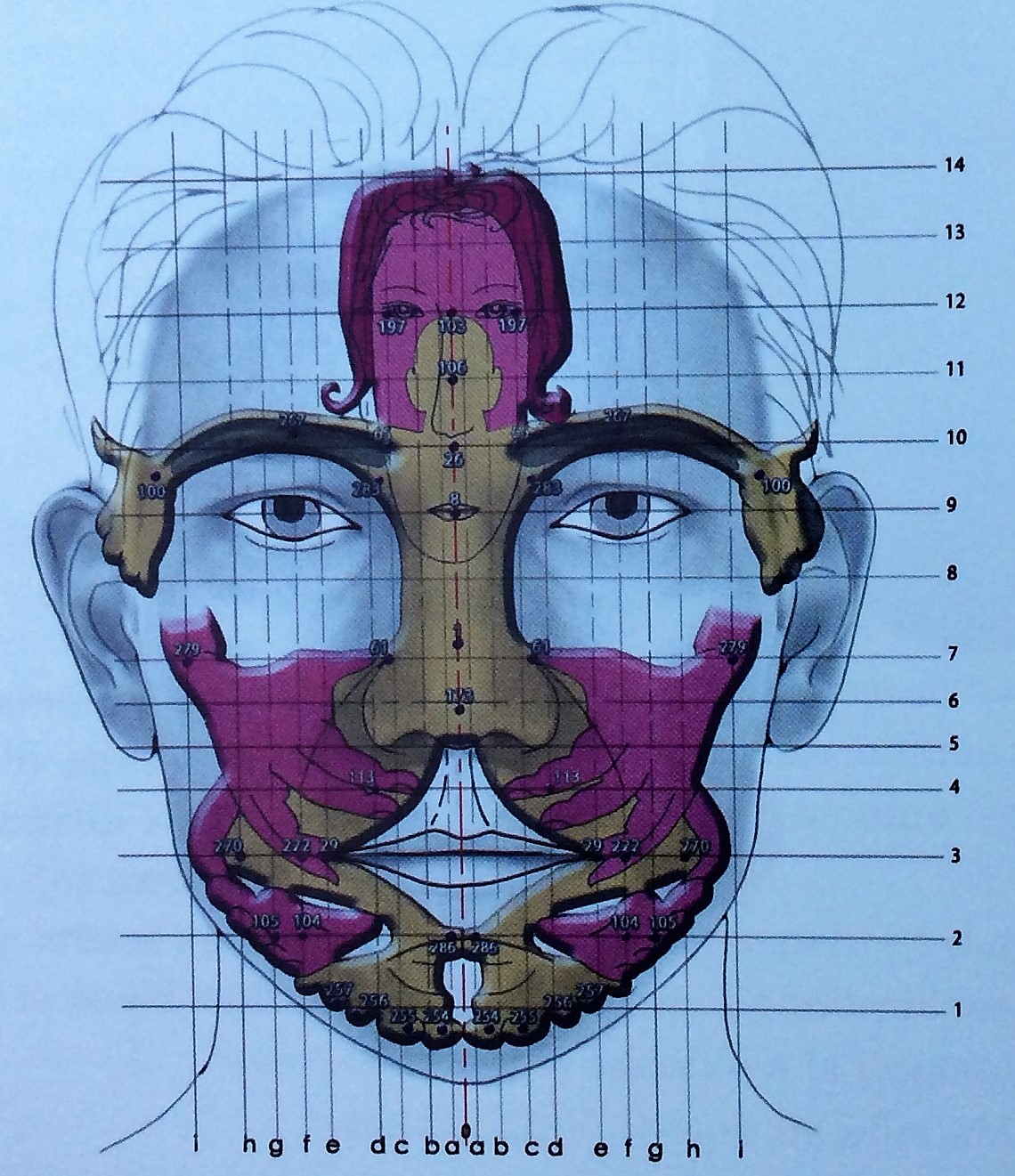 Relaxation faciale et/ou crânienne :: Reflexologie-plantaire-de-confort-sf