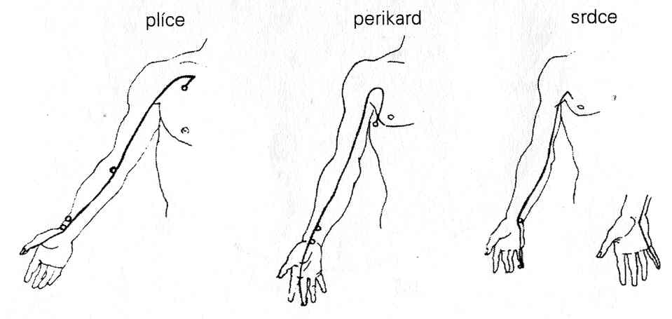 Meridiány :: Tai-Chi Chi-Kung ~ Trutnovsko