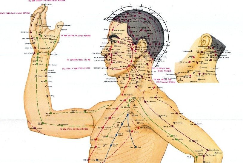 Meridiány :: Tai-Chi Chi-Kung ~ Trutnovsko