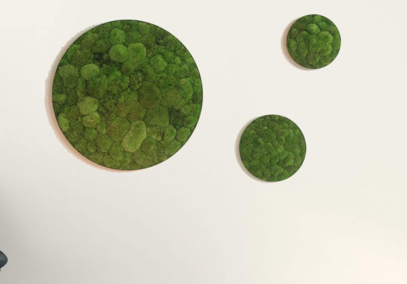 Mosebilder :: Plantscape.no