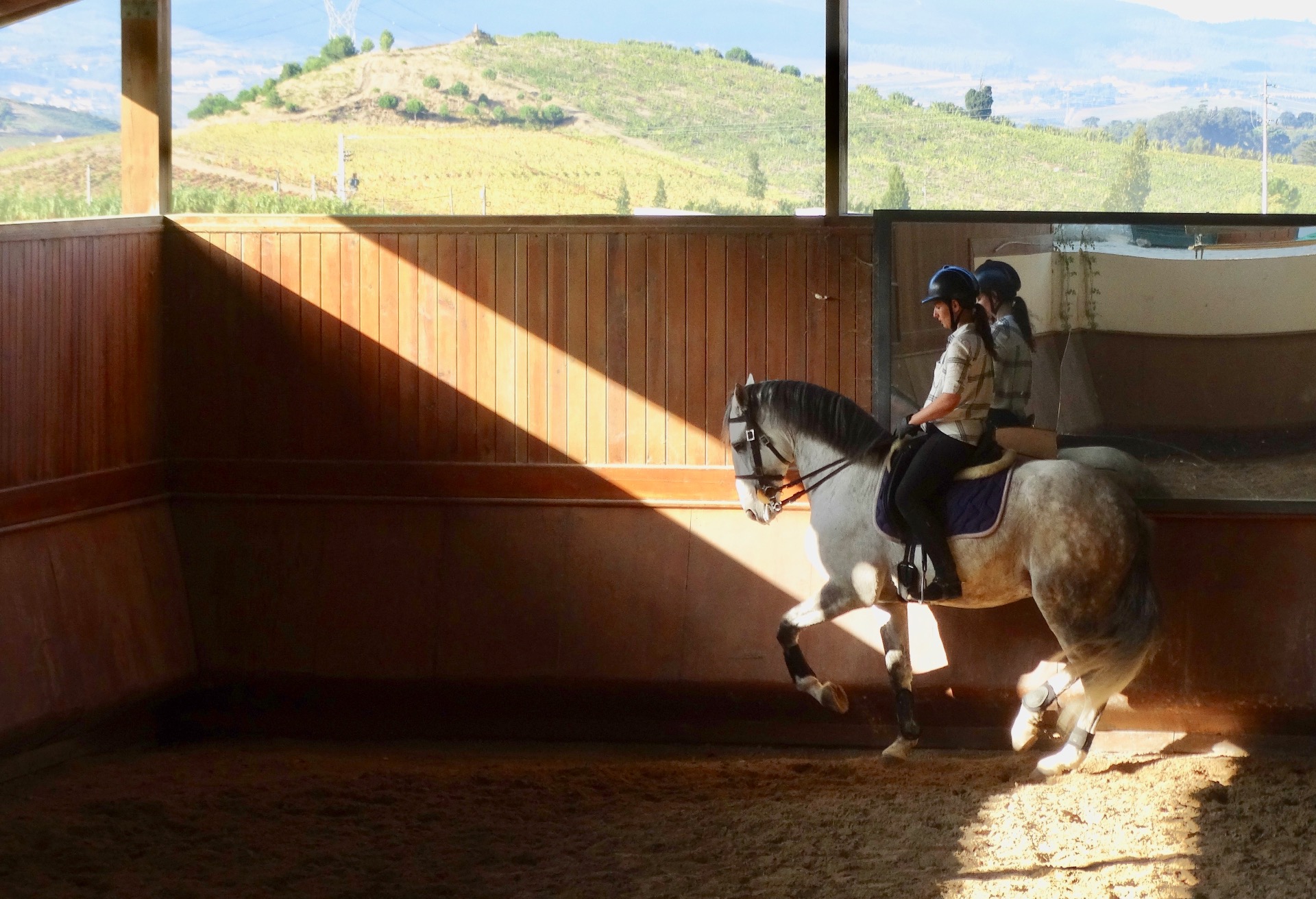Ride Reviews :: Lusitanos Riding Centre