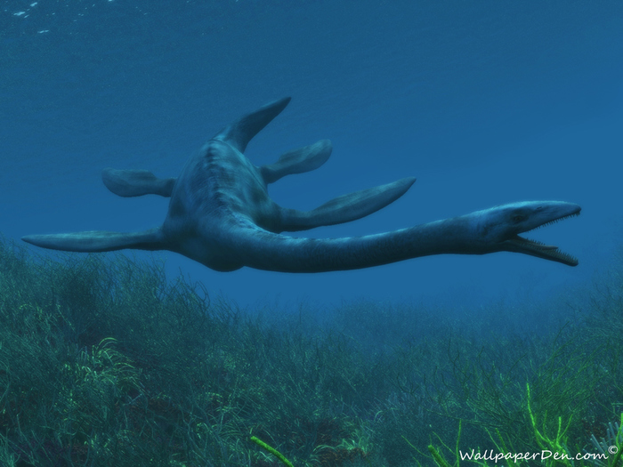 El Océano Tethys: un mar desaparecido cuyos restos yacen en la montaña.