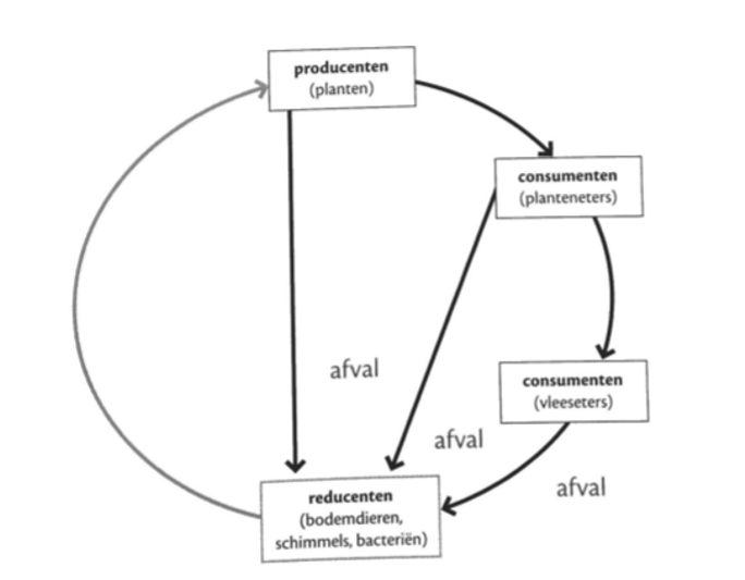 voedselkringloop